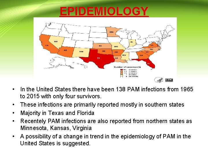 NAEGLERIA FOWLERI BRAIN EATING AMOEBA AMOEBIC MENINGOENCEPHALITIS DR