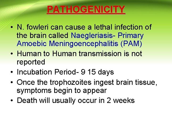 NAEGLERIA FOWLERI BRAIN EATING AMOEBA AMOEBIC MENINGOENCEPHALITIS DR