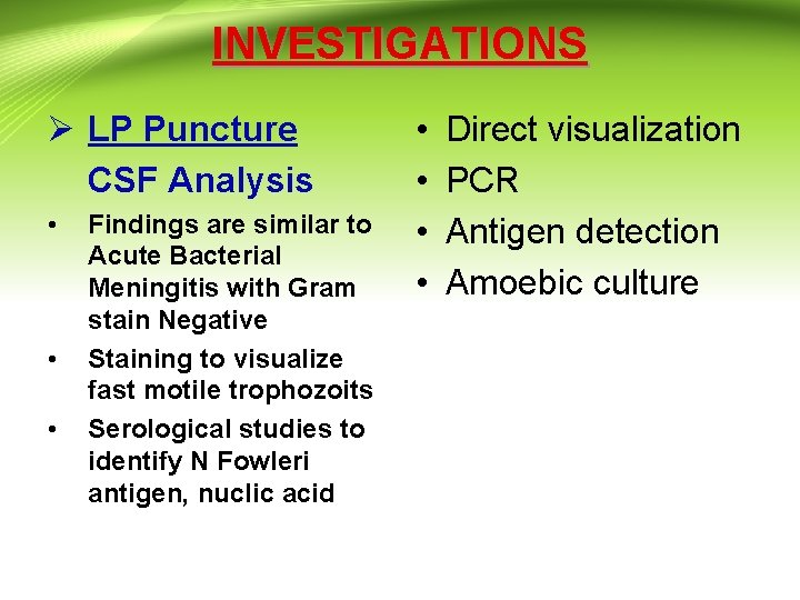 NAEGLERIA FOWLERI BRAIN EATING AMOEBA AMOEBIC MENINGOENCEPHALITIS DR