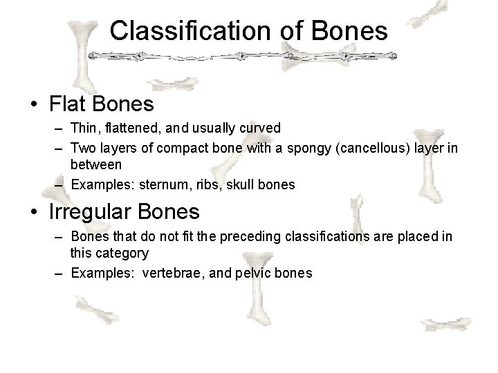 The Skeletal System Three Types of Skeletons 1