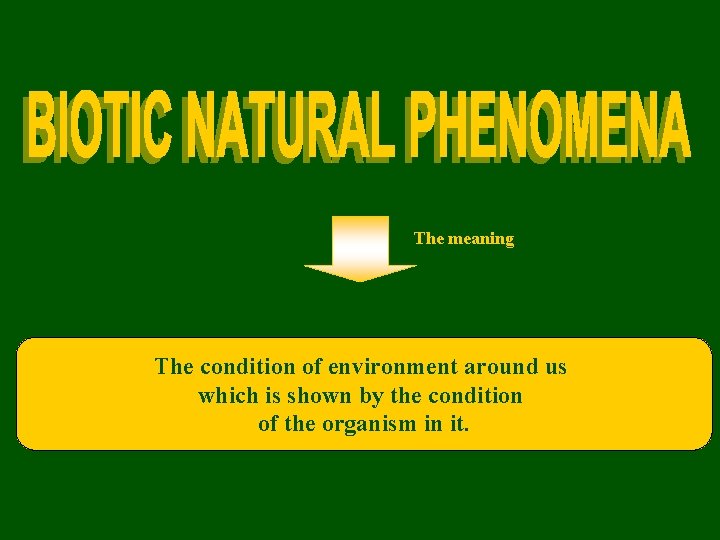 P s Meaning In Text 898323 P S Meaning In Text Example P s Meaning In Text 898323 P S Meaning In Text Example