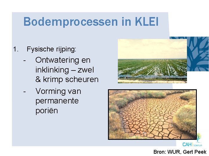 Bodemvorming in Nederland zand klei en veengronden Bodem