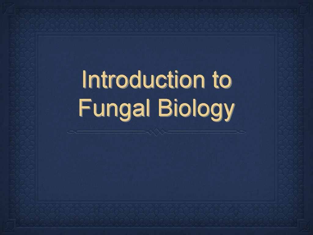 Introduction to Fungal Biology In this workshop What