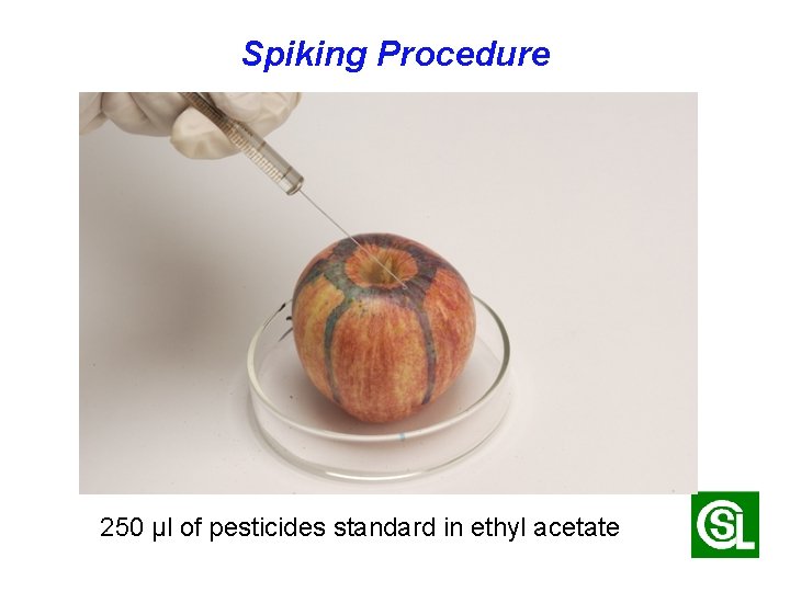 Assessment of Stability of Pesticides During Sample Processing