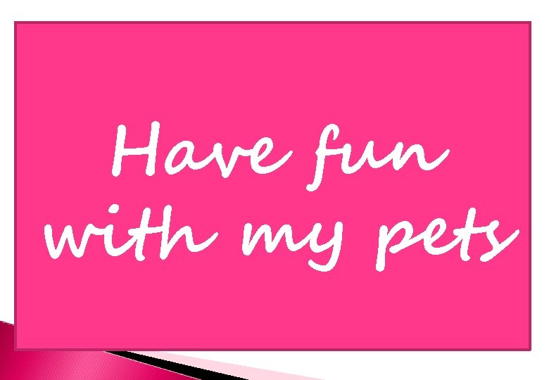 Have fun with my pets Theme Have fun