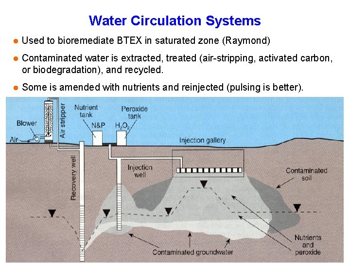 Principles Applications of BTEX Bioremediation Pedro J J