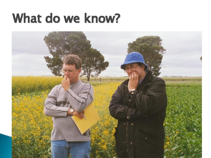 Blackleg Resistance Durability Steve Marcroft Marcroft Grains Pathology