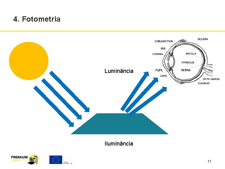 Iluminao interior Design de iluminao Bsico Prepared by