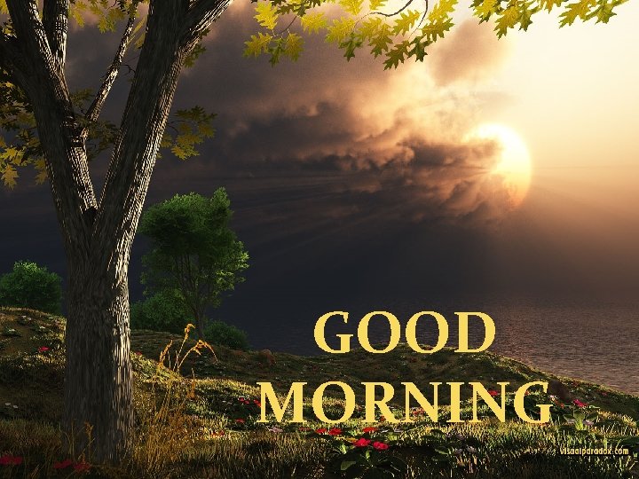 GOOD MORNING OBJECTIVES Definition Functions Classification Composition of