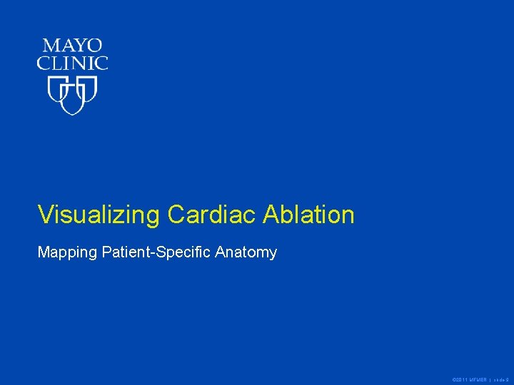 5 D Image Guided Cardiac Ablation Therapy David