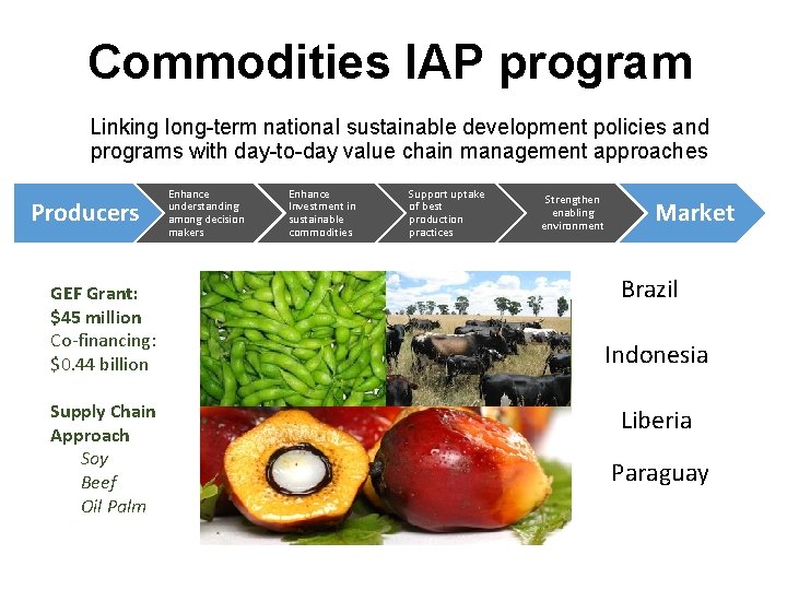 Integrated Approach to GEF Programming Charting a New