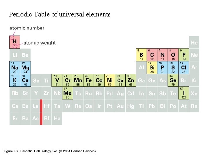 Lecture 4 Basic Chemistry refresher Macromolecules of all