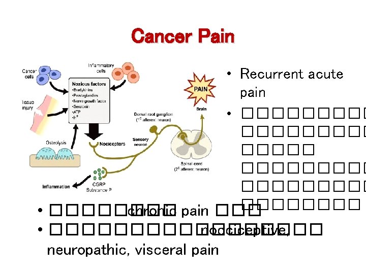 Pain Assessment and Management in Palliative are Pain