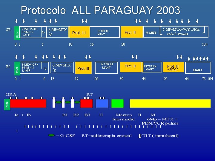 LEUCEMIA LINFOBLASTICA AGUDA HISTORIA DEL PROTOCOLO BFM APLICADO