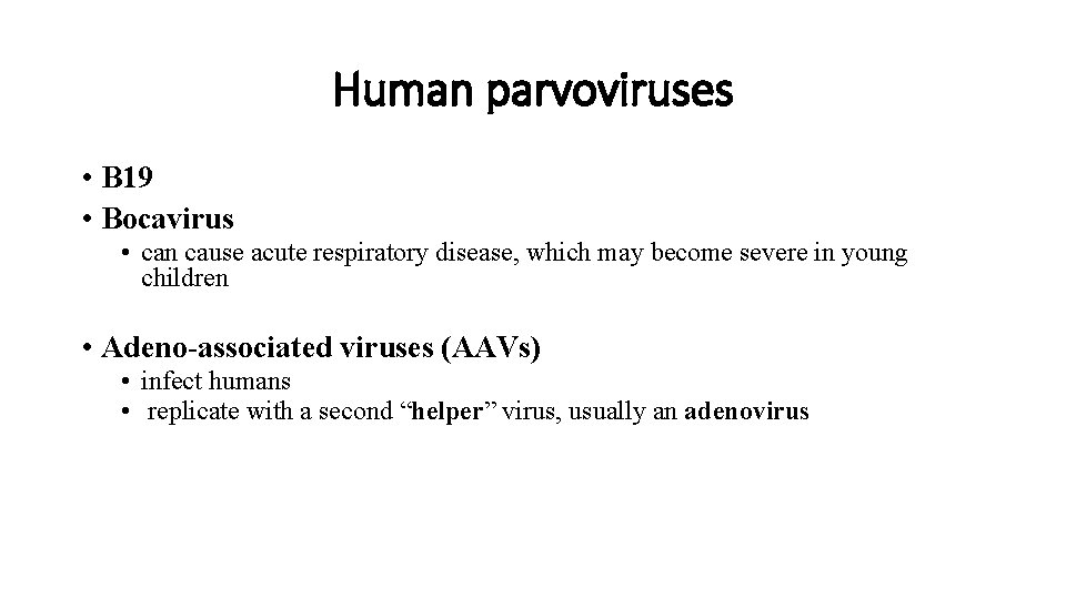 A negatively stained preparation of parvovirus seen by