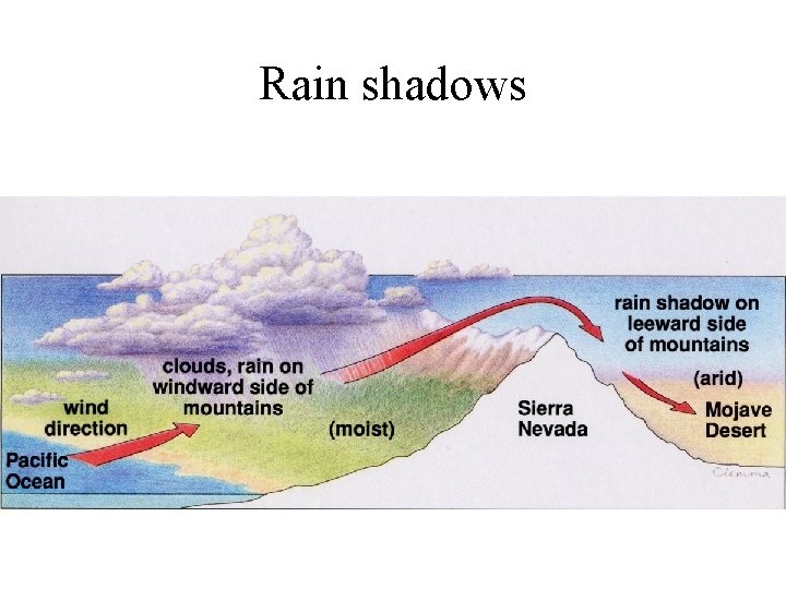 Ecology Global climate and productivity Species diversity Island