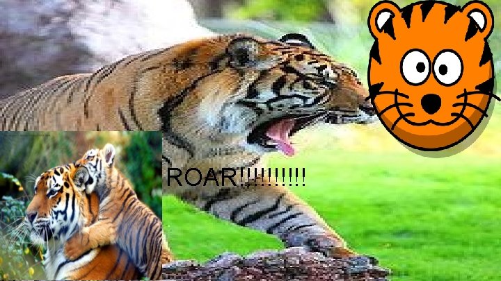 Figurative Language Pop Song Roar song by Katy