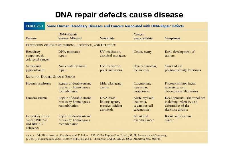 DNA damage and repair summary 1 Defects in