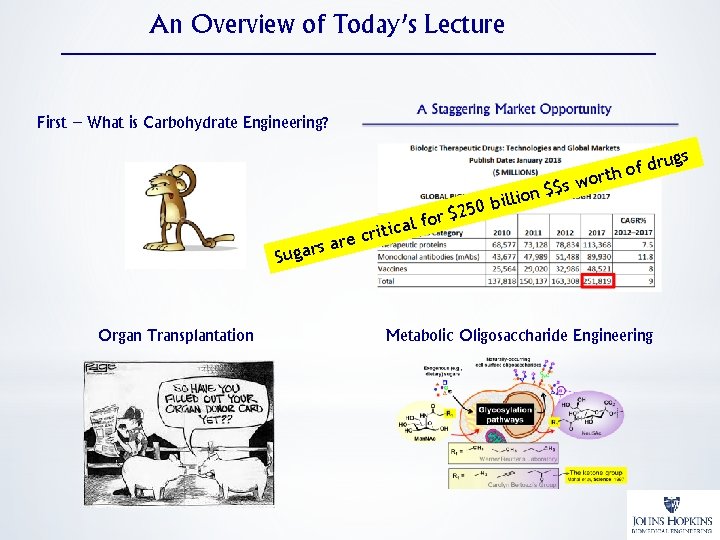 Carbohydrate Engineering Introduction to Glycobiology ME 330 712