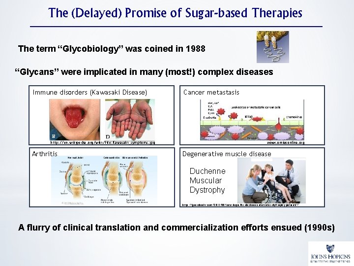 Carbohydrate Engineering Introduction to Glycobiology ME 330 712