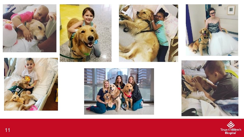 PAWSitive Play Animal Assisted Therapy at Texas Childrens
