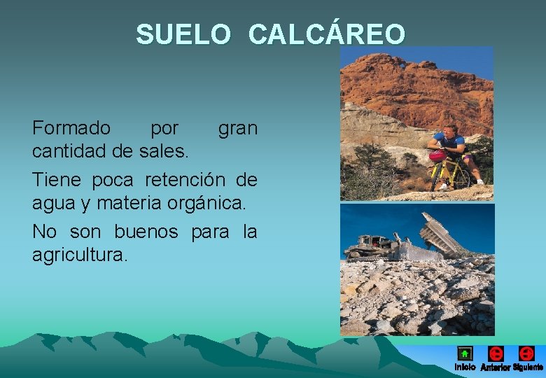 Profesora Lilia Ayala Rojas Alumnas de sextos bsicos