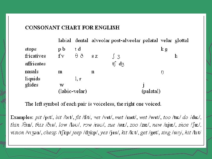 Phonetics and phonology a brief introduction Raymond Hickey