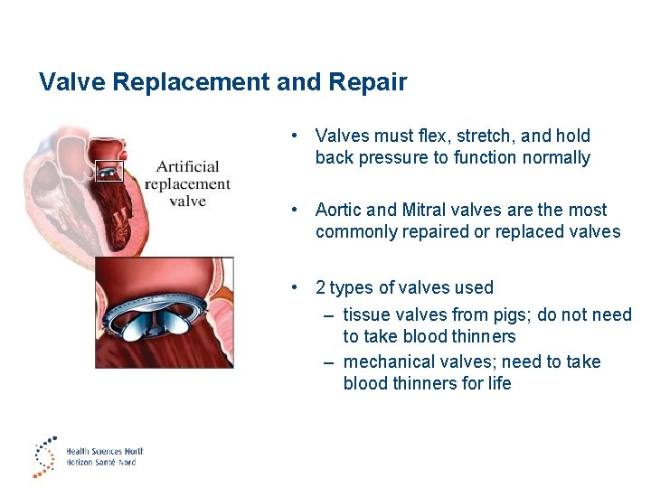The Cardiovascular System How your Heart and Blood