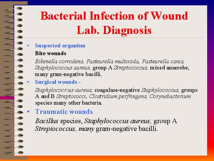Bacterial Infection of Wound By Dr Humodi A