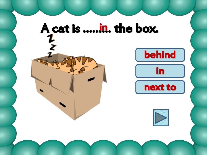 Prepositions of place on the box A dog