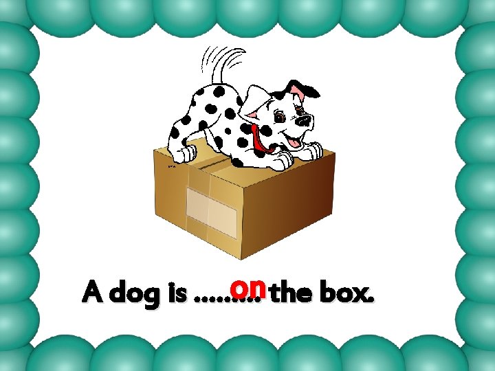Prepositions of place on the box A dog