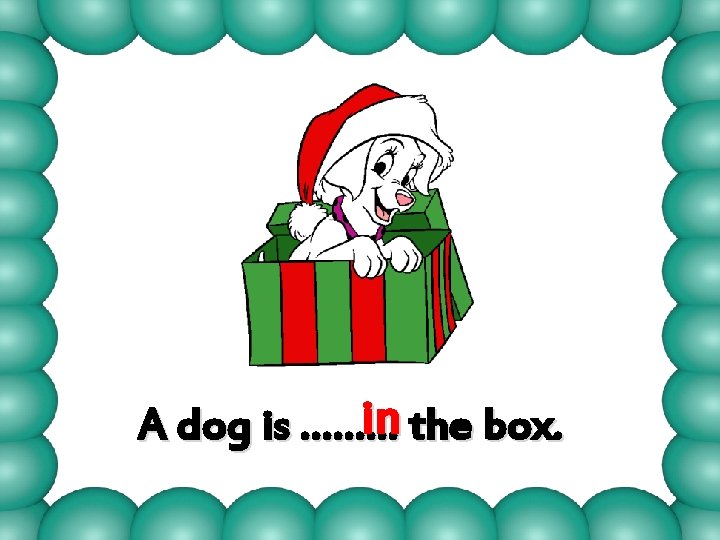 Prepositions of place on the box A dog