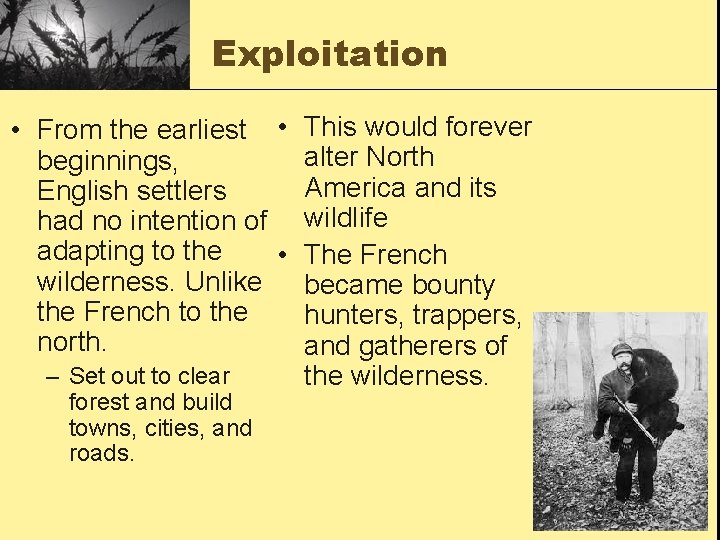 History of Wildlife Management in America Wildlife Management