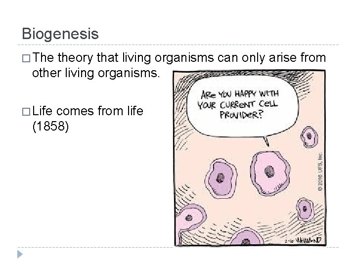 Biology Unit C Cycling of Matter in Living