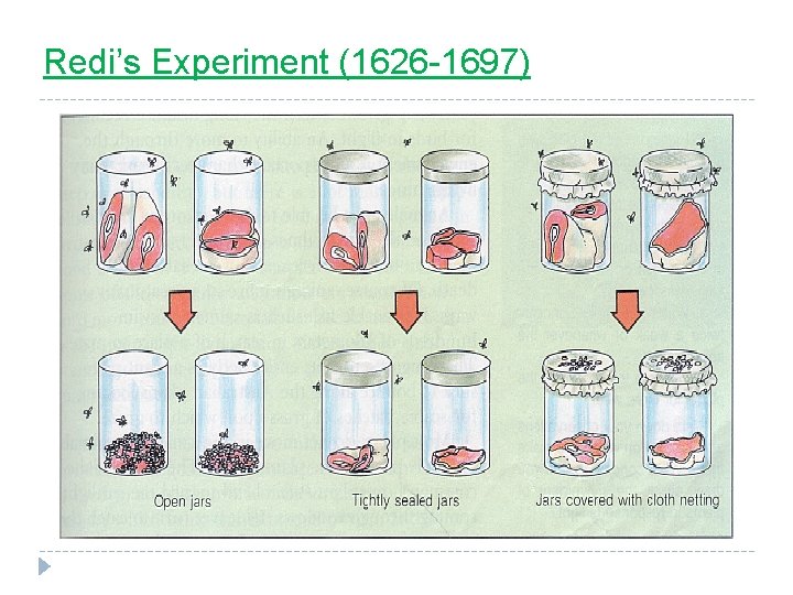 Biology Unit C Cycling of Matter in Living