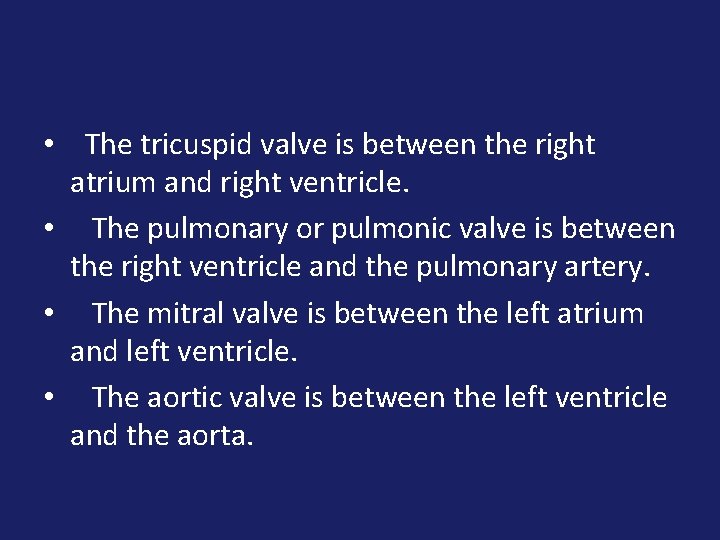 CIRCULATORY SYSTEM Anatomy of the Heart The human