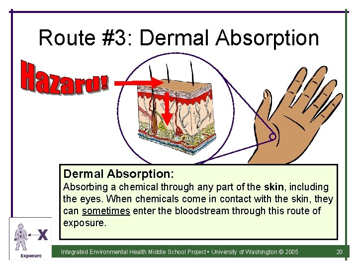 What is Environmental Health Inside Outside A Student