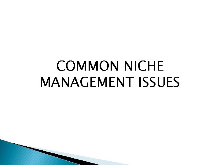 Making a Niche Work for Your Firm by