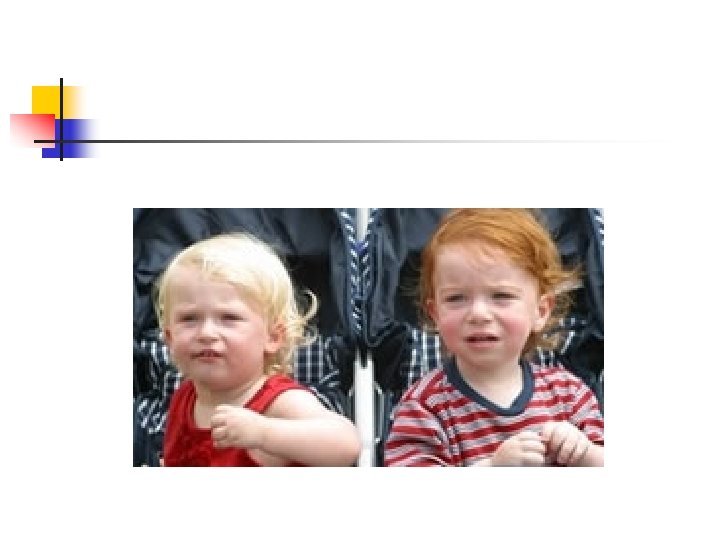 Erfelijkheid en tweelingen Klas 2 Chromosomen Van ieder