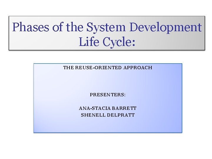 Phases of the System Development Life Cycle THE
