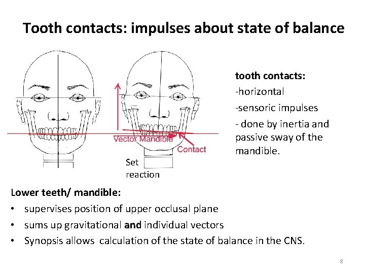 Maxillas Occlusal Plane Tool for Orientation in Space