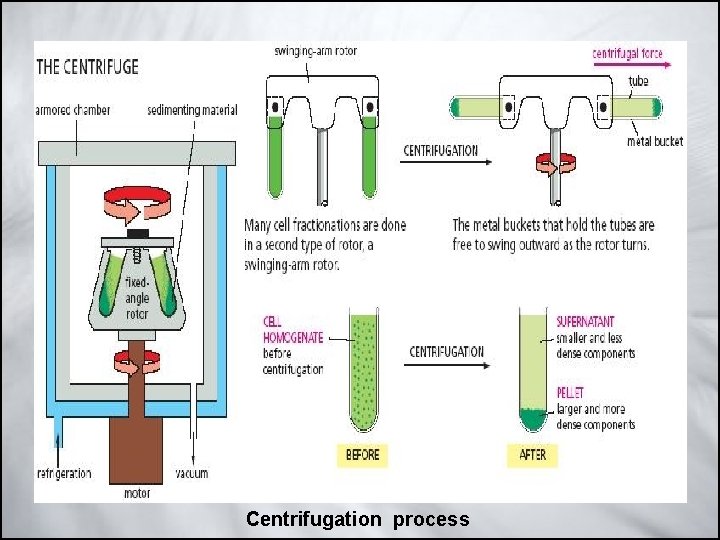 Separation of bioproducts Downstream Lec 6 The extraction