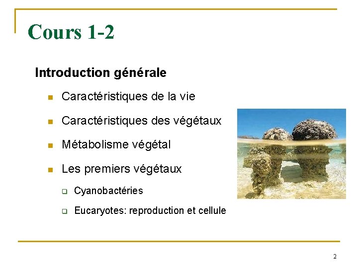 Elments de botanique Cours 13 Physiologie des plantes