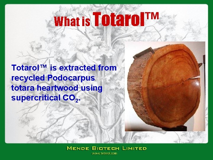 Totarol The Worlds New Natural Active Mende Biotech