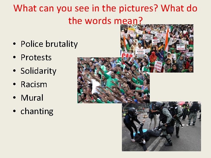 What can you see in the pictures What