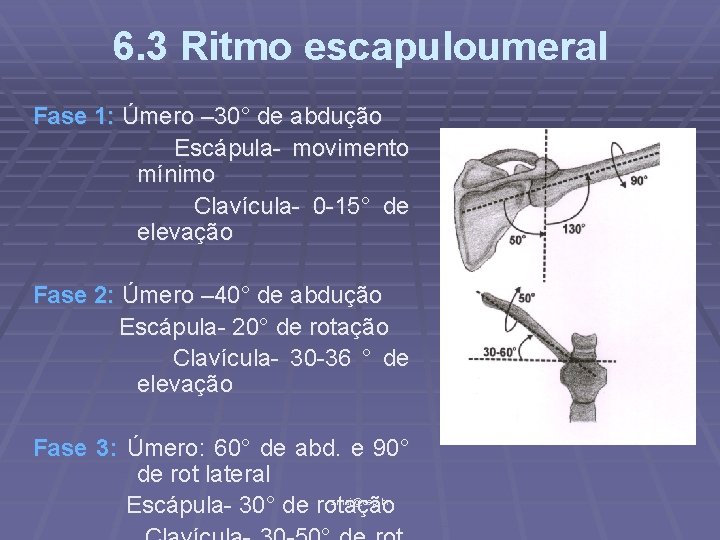 Avaliao Fisioteraputica do Ombro Departamento de Fisioterapia ...