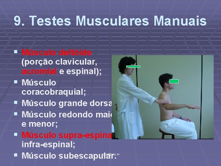 Avaliao Fisioteraputica do Ombro Departamento de Fisioterapia ...