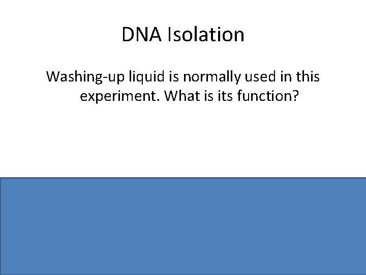 Experiment Questions DNA Isolation DNA Isolation For what