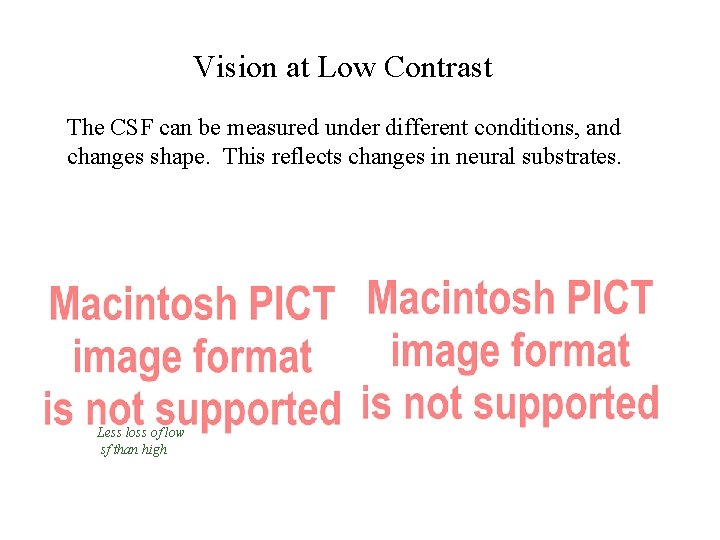 Visual Acuity Adlers Physiology of the Eye 11