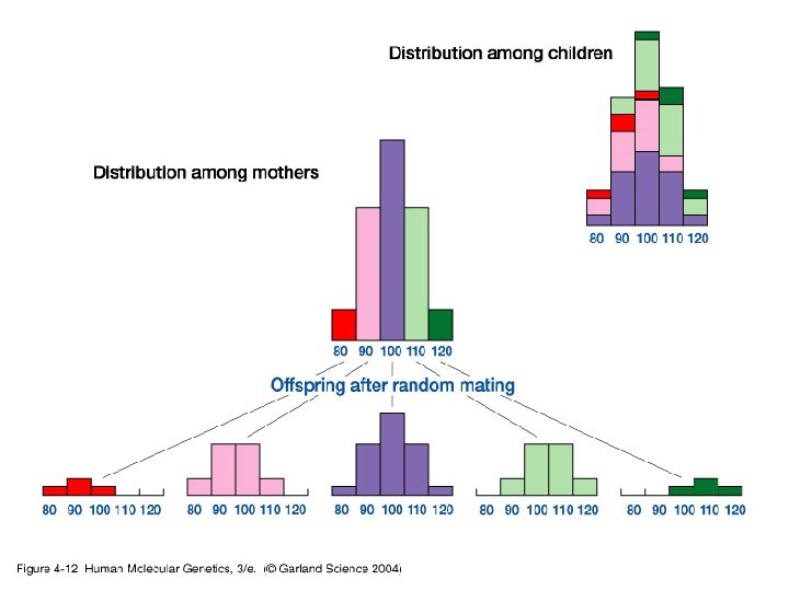 Genes in Pedigrees Populations 1 Monogenic versus multifactorial